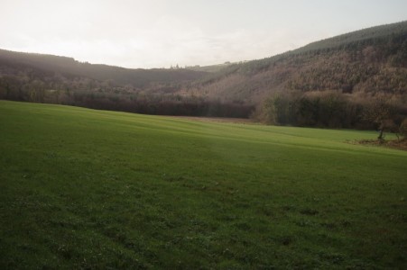 Walking the Killavullen Loop – Tea and a camera