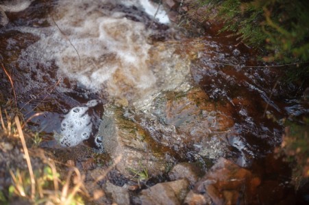 Walking the Killavullen Loop – Tea and a camera