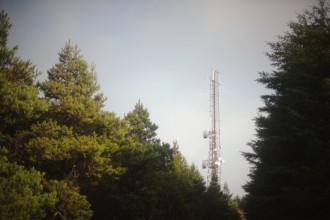 Walking the Killavullen Loop – Tea and a camera