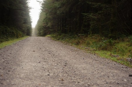 Walking the Killavullen Loop – Tea and a camera