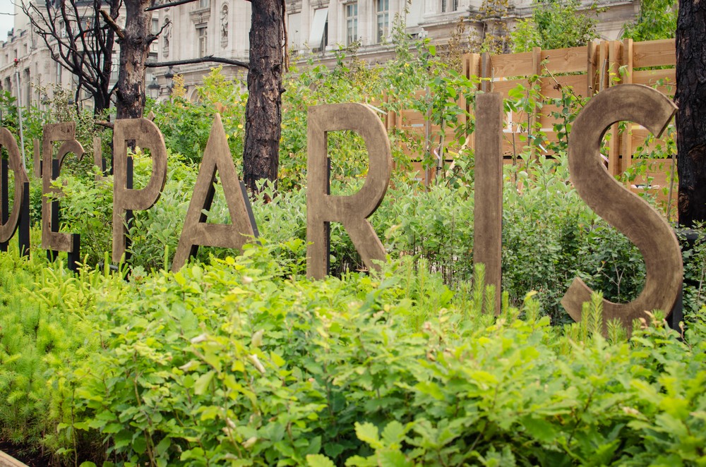 Navigating Rive Droite, Paris – Tea and a camera