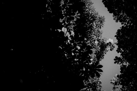 Navigating Rive Droite, Paris – Tea and a camera